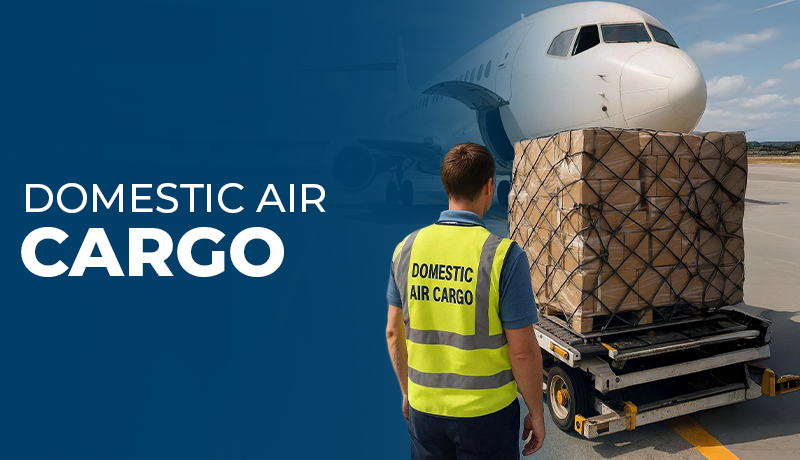 Top logistics companies | best logistics company | best logistic service